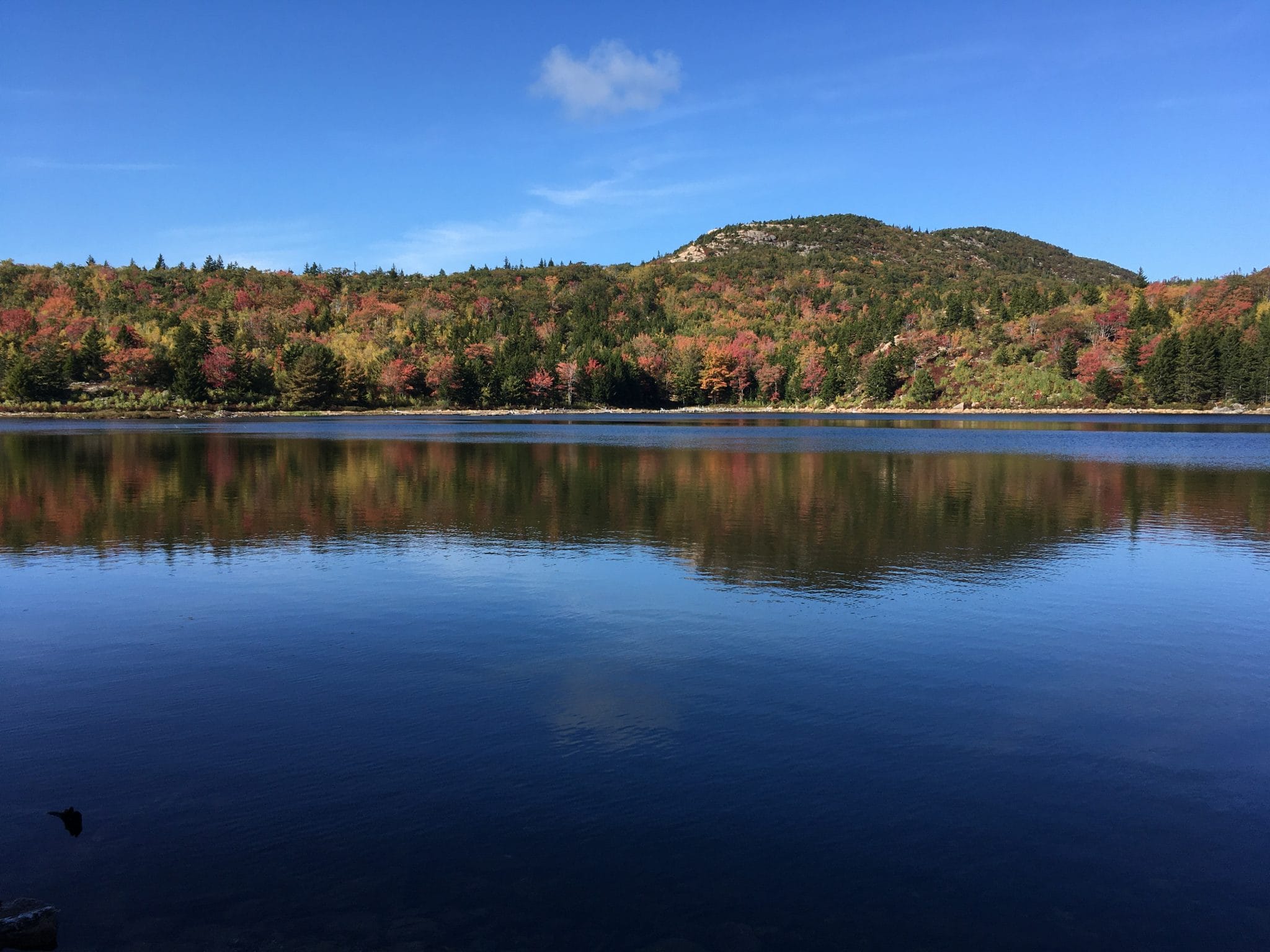 10 of the Best Hikes Near Oslo, Norway - This Wild Planet