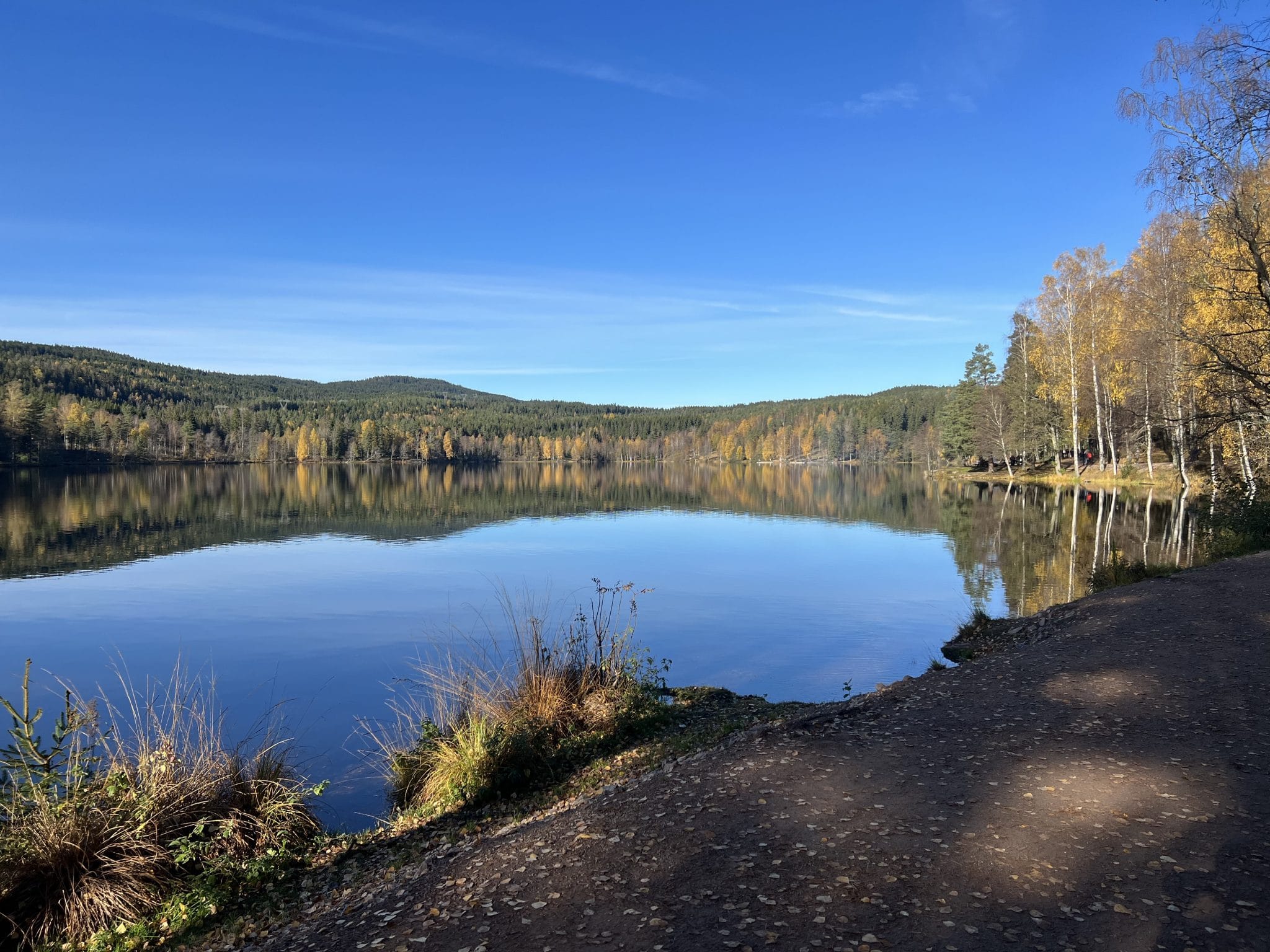 10 of the Best Hikes Near Oslo, Norway - This Wild Planet