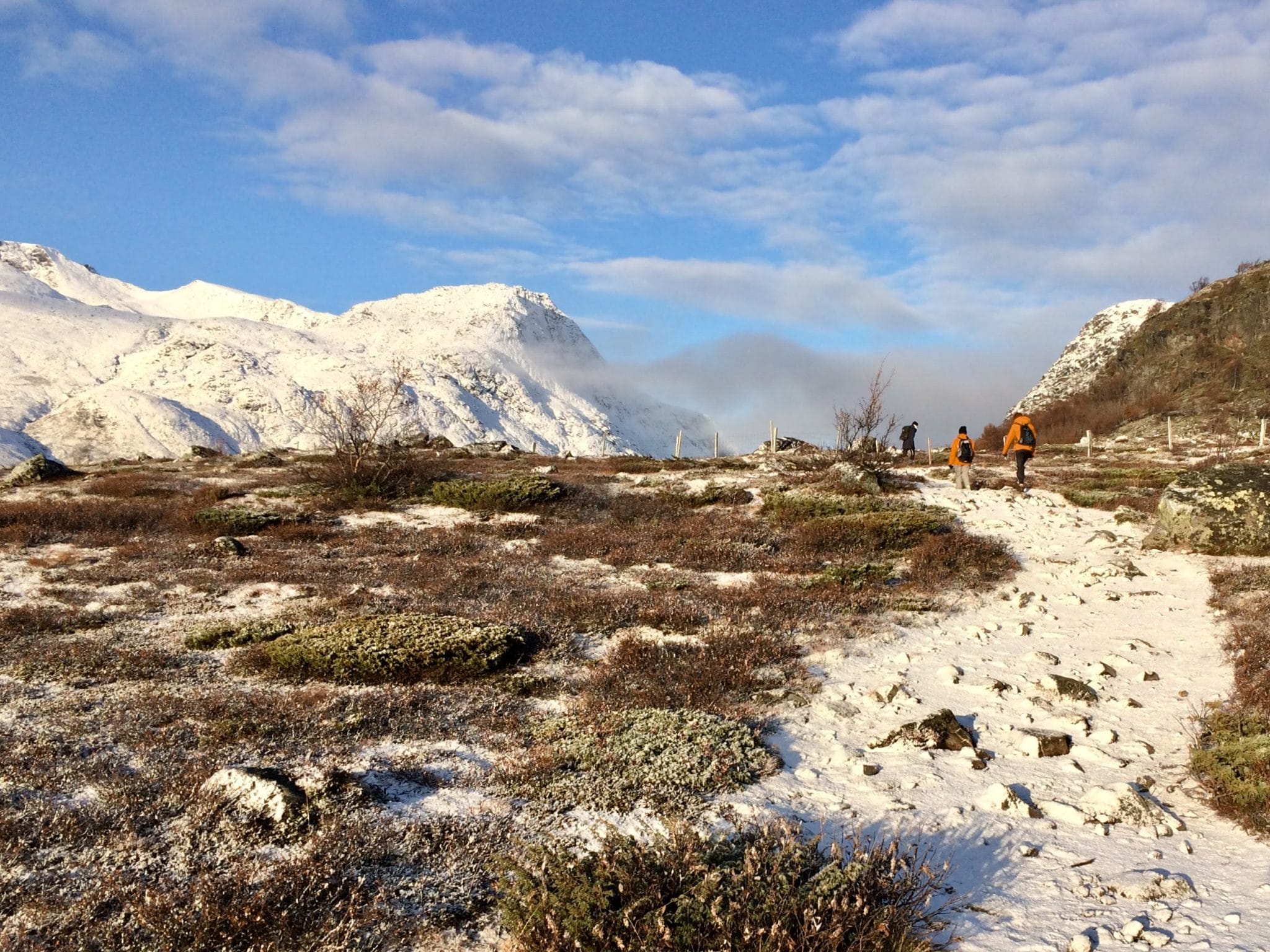 10 of the Best Hikes Near Oslo, Norway - This Wild Planet
