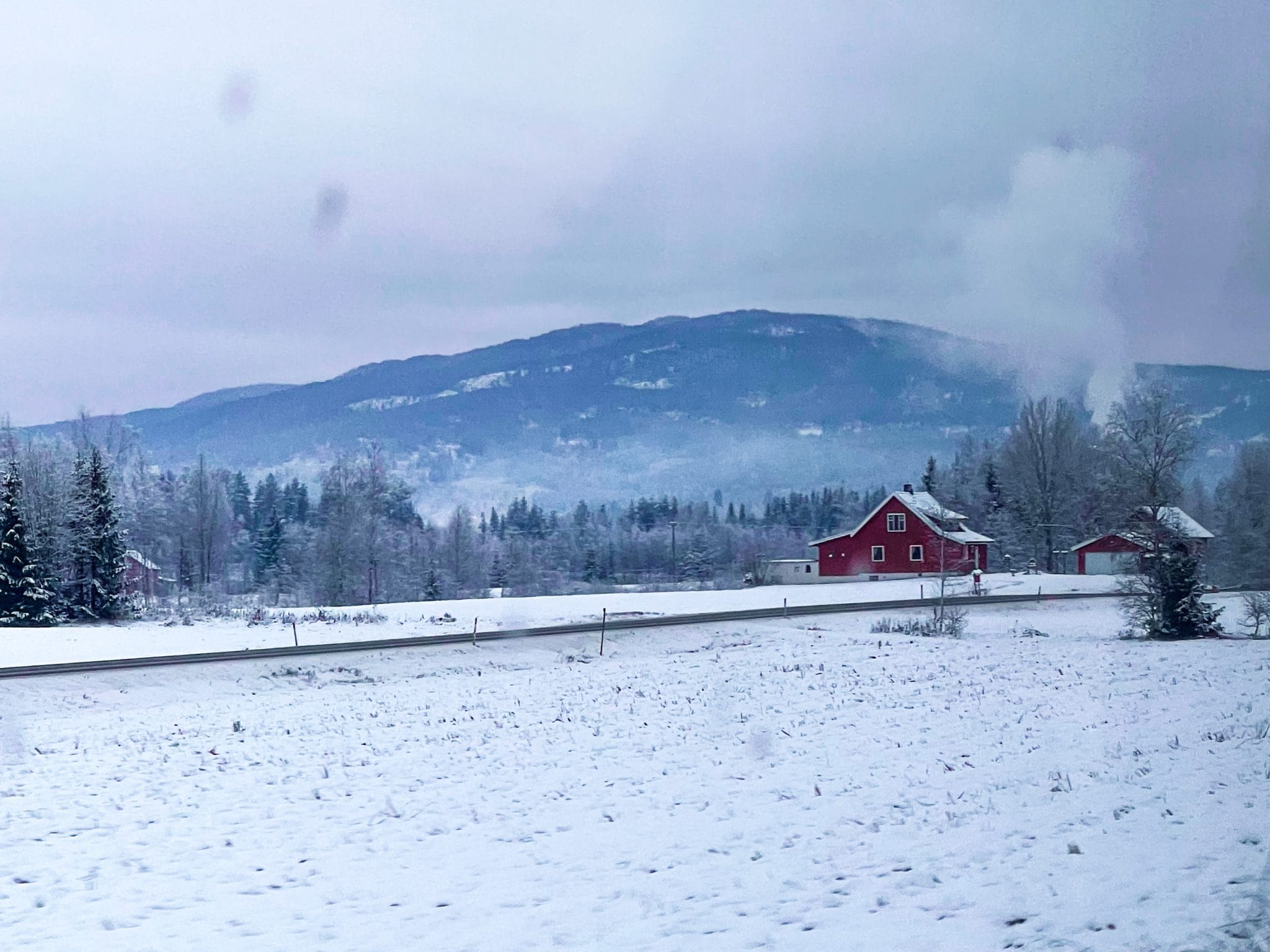 10 of the Best Hikes Near Oslo, Norway - This Wild Planet