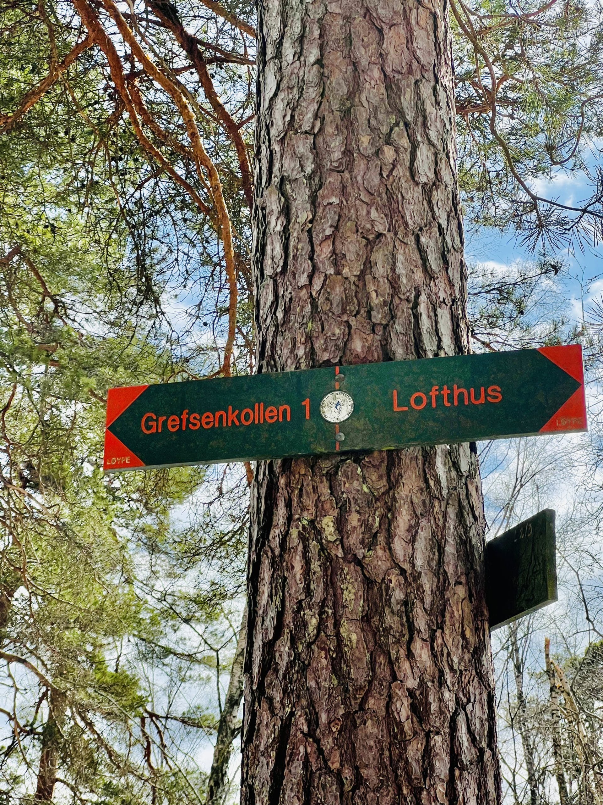 Grefsenkollen: Hiking One of the Most Popular Hikes in Oslo! - This ...