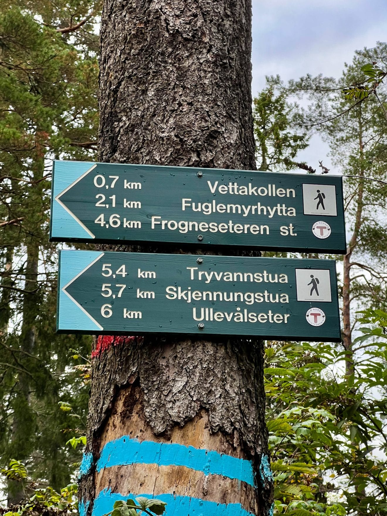 10 of the Best Hikes Near Oslo, Norway - This Wild Planet